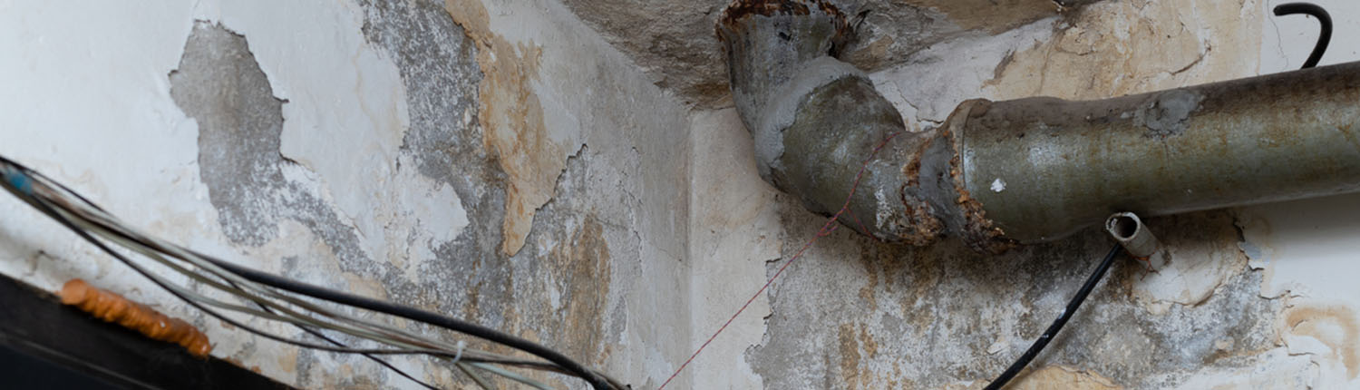 Recherche et localisation de fuites de plomberie